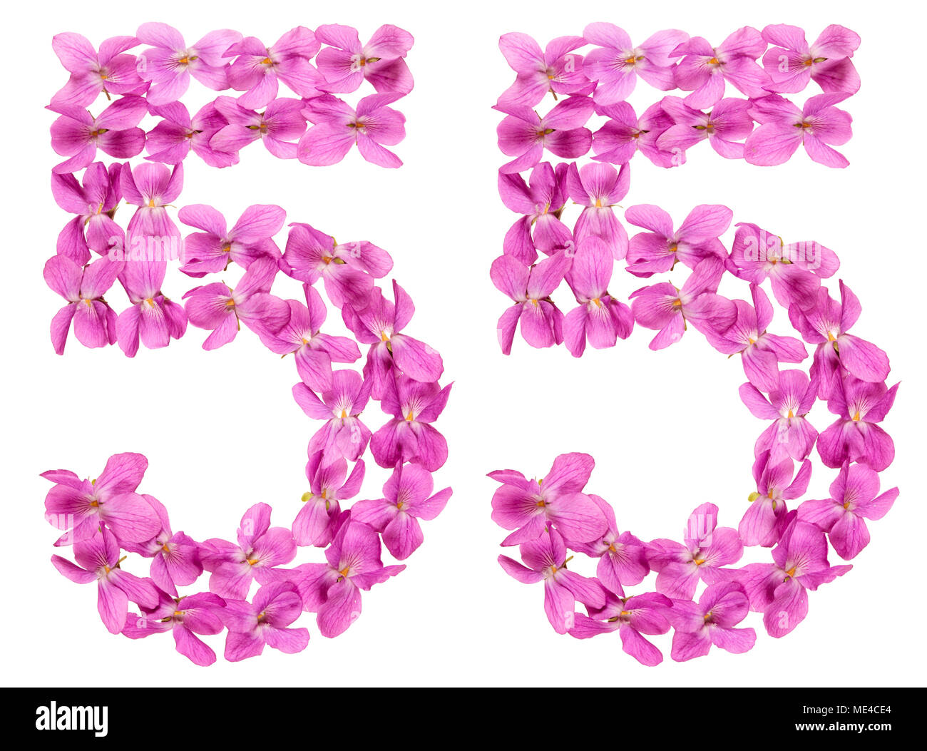 Arabic numeral 55, fifty five, from flowers of viola, isolated on white ...