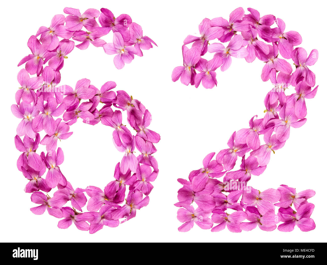 Arabic numeral 62, sixty two, from flowers of viola, isolated on white ...