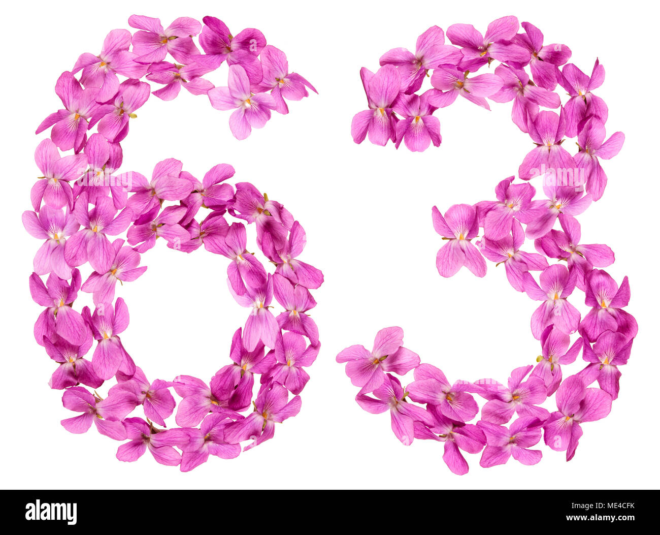 Arabic numeral 63, sixty three, from flowers of viola, isolated on ...