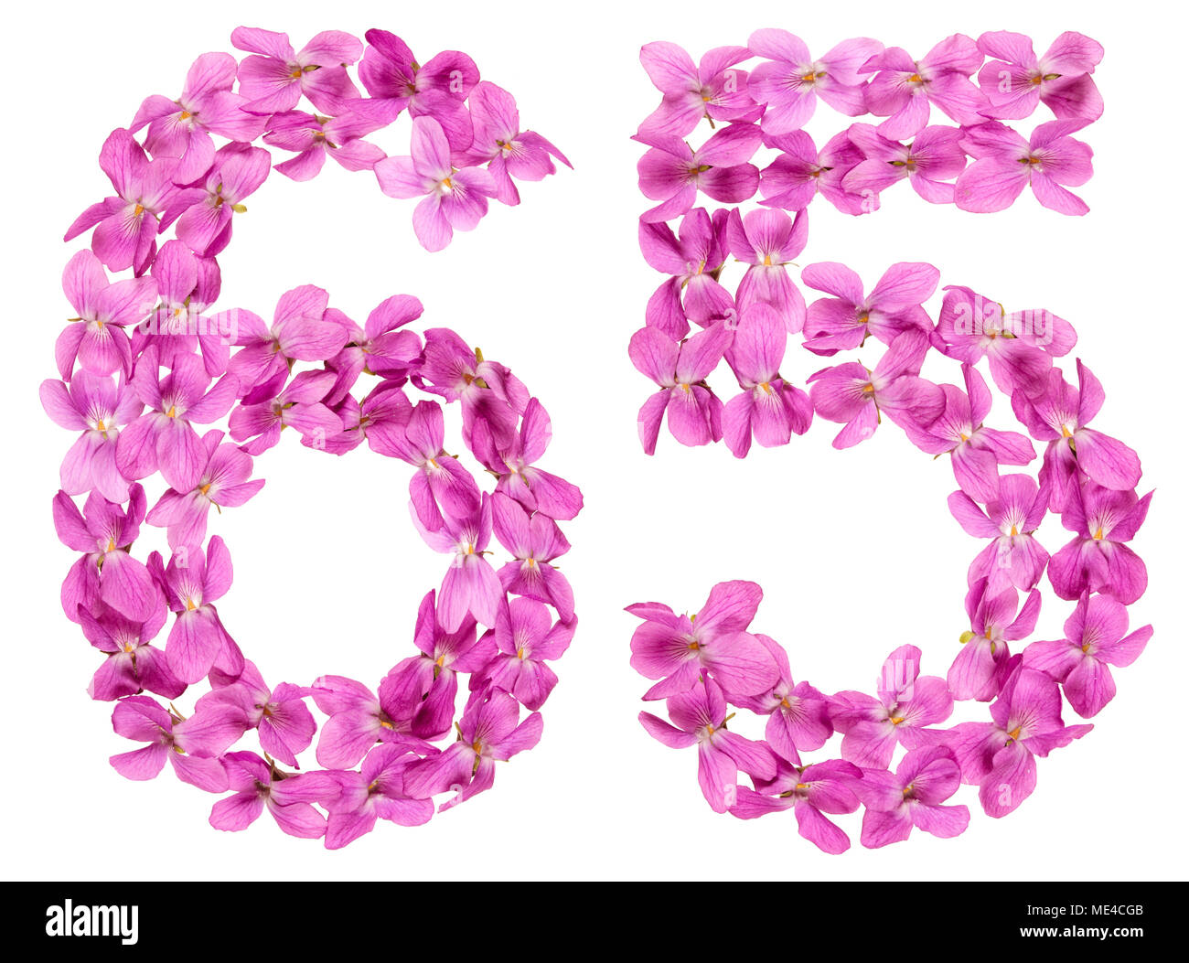 Arabic numeral 65, sixty five, from flowers of viola, isolated on white ...