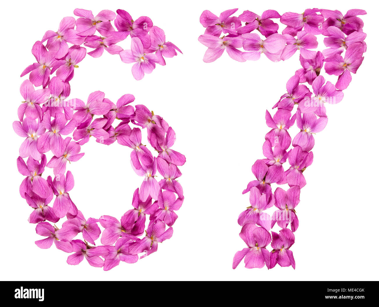 Arabic numeral 67, sixty seven, from flowers of viola, isolated on ...