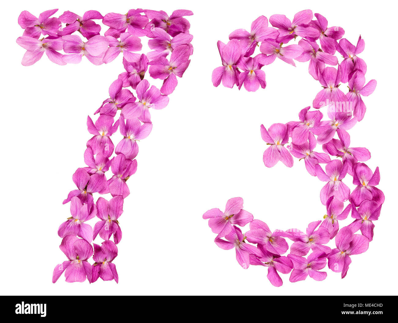 Arabic numeral 73, seventy three, from flowers of viola, isolated on ...