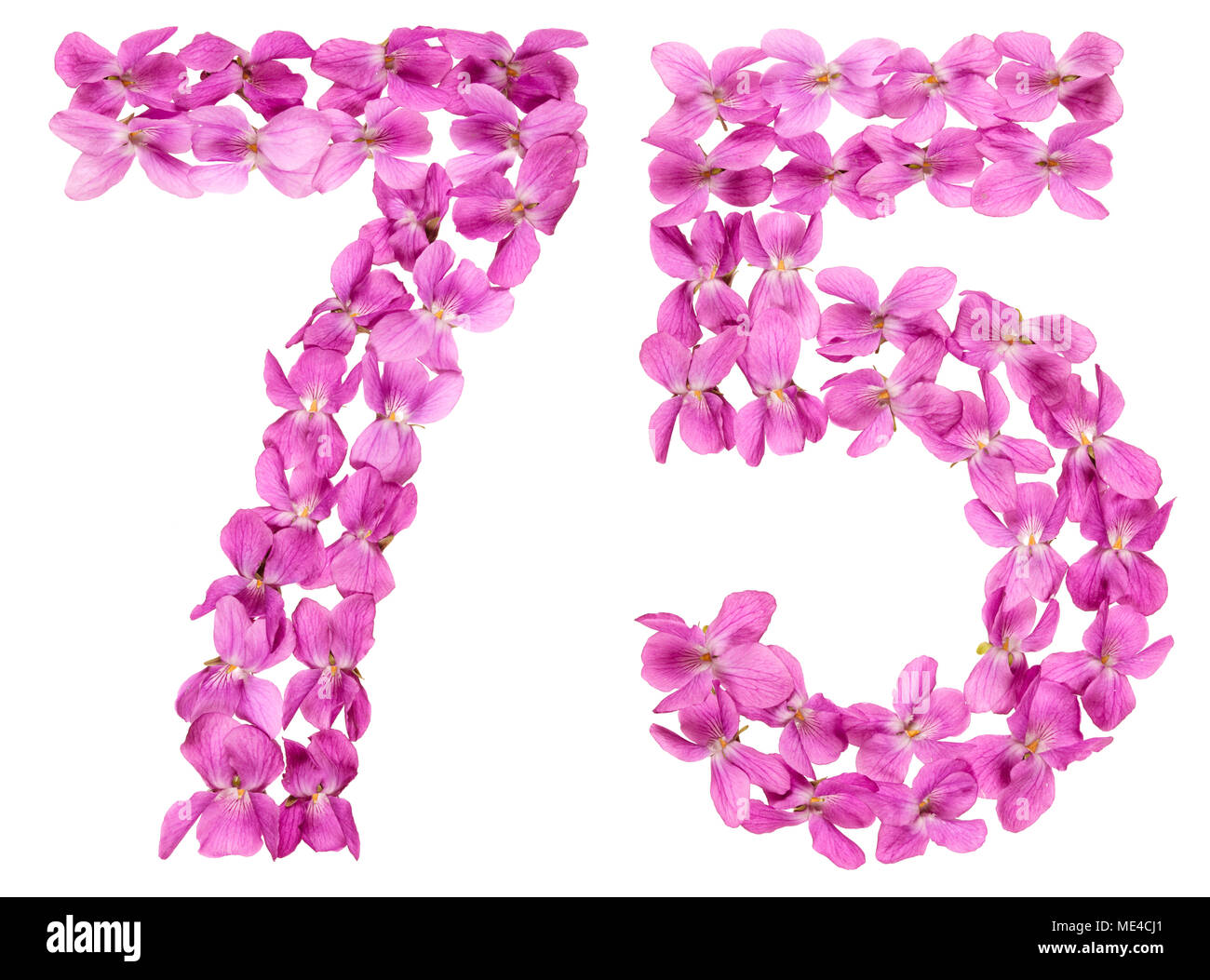 Arabic numeral 75, seventy five, from flowers of viola, isolated on ...