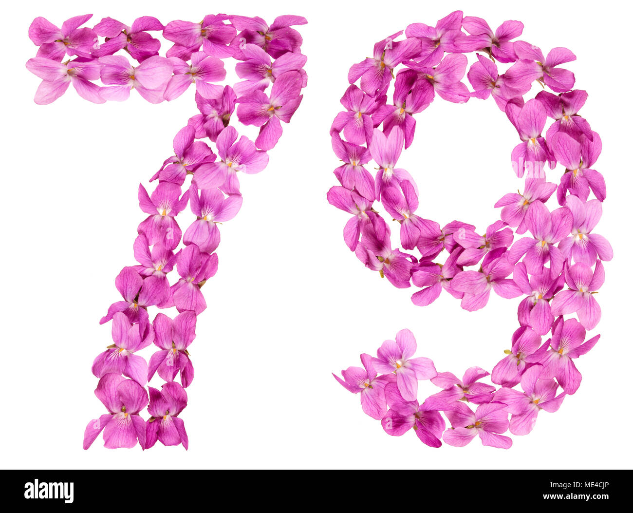 Arabic numeral 79, seventy nine, from flowers of viola, isolated on ...
