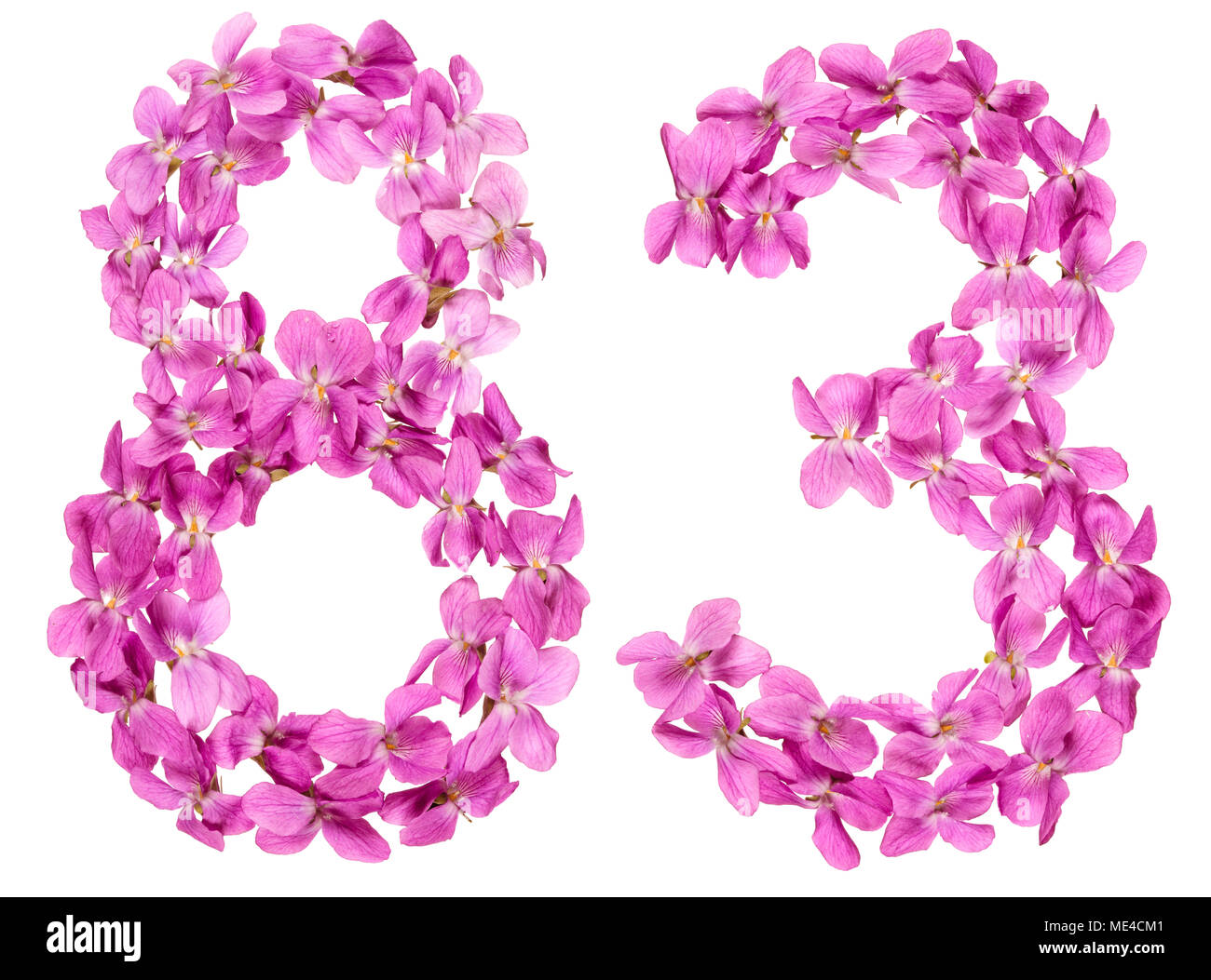 Arabic numeral 83, eighty three, from flowers of viola, isolated on ...