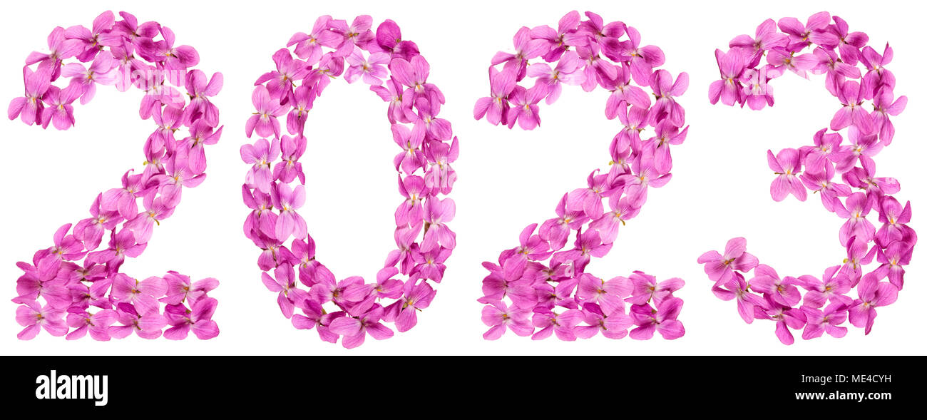 Numeral 2023 from flowers of viola, isolated on white background Stock ...