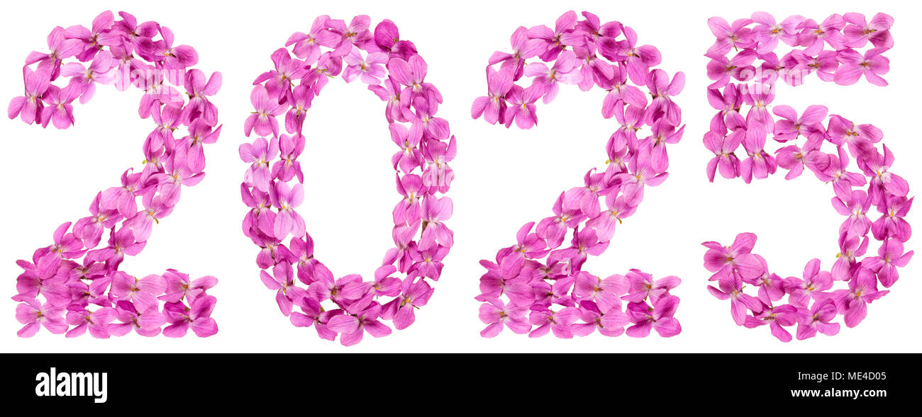 Numeral 2025 from flowers of viola, isolated on white background Stock ...