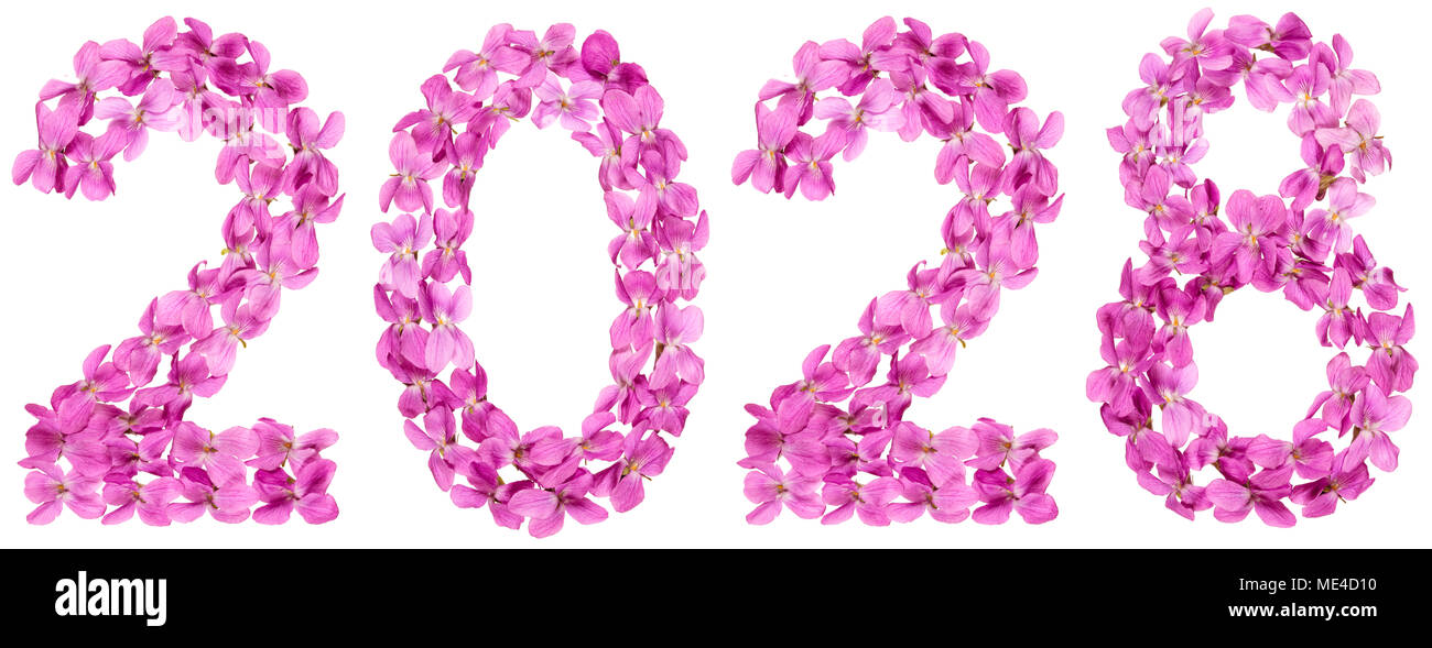 Numeral 2028 from flowers of viola, isolated on white background Stock ...