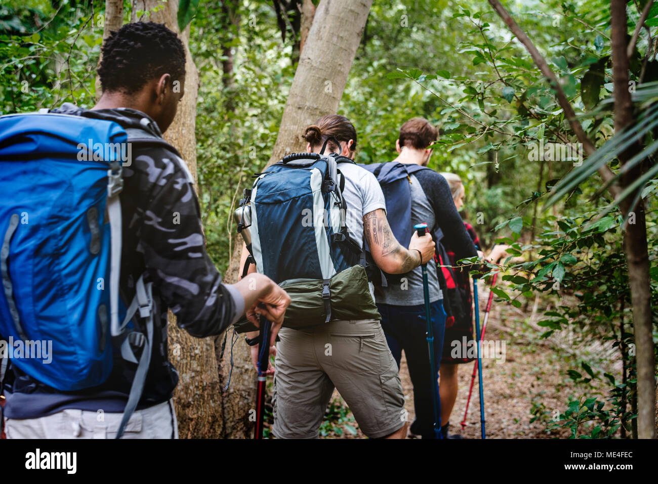 Friends tree trek forest hi-res stock photography and images - Alamy