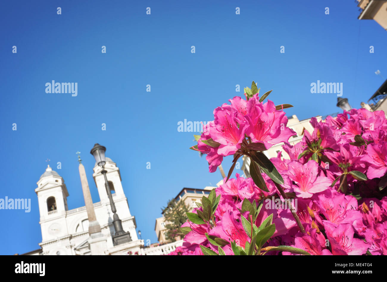 Spanish steps and azaleas in Rome Italy Stock Photo - Alamy