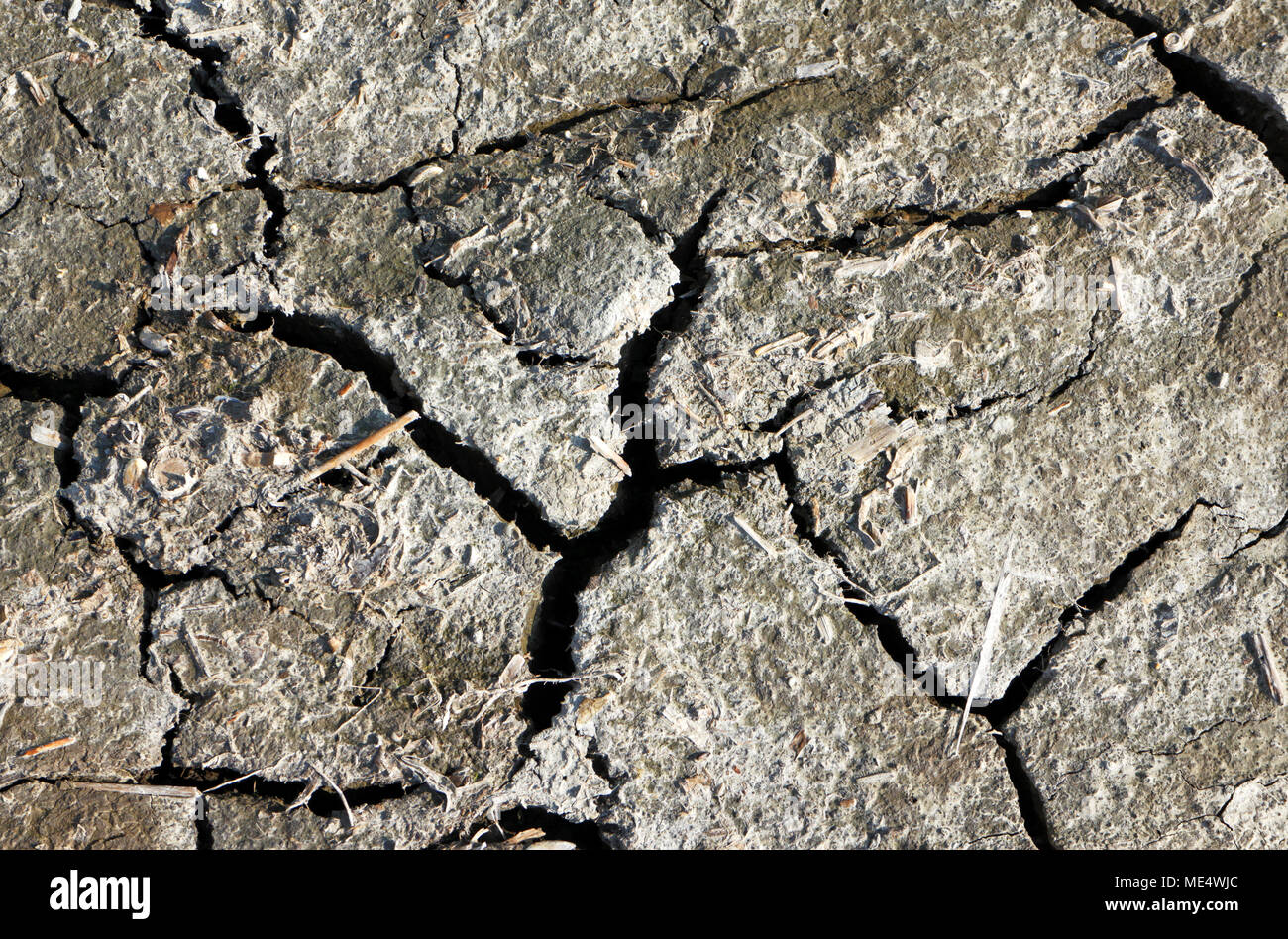 Cracked dried mud abstract hi-res stock photography and images - Alamy