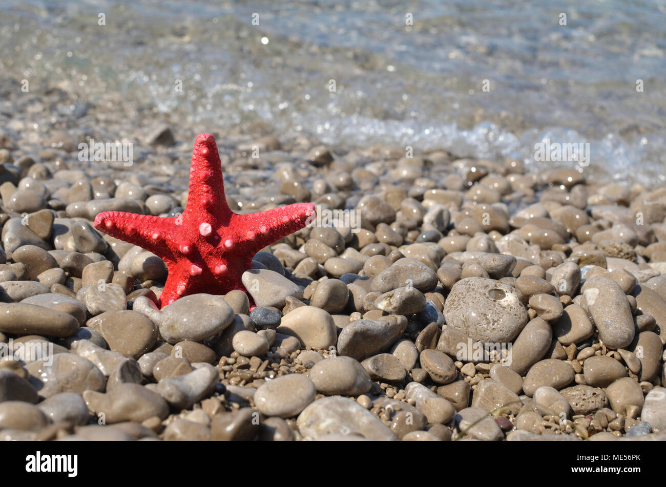 Pebbles on seafood hi-res stock photography and images - Alamy