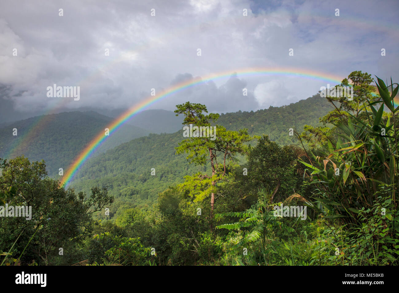 Moiseture hi-res stock photography and images - Alamy