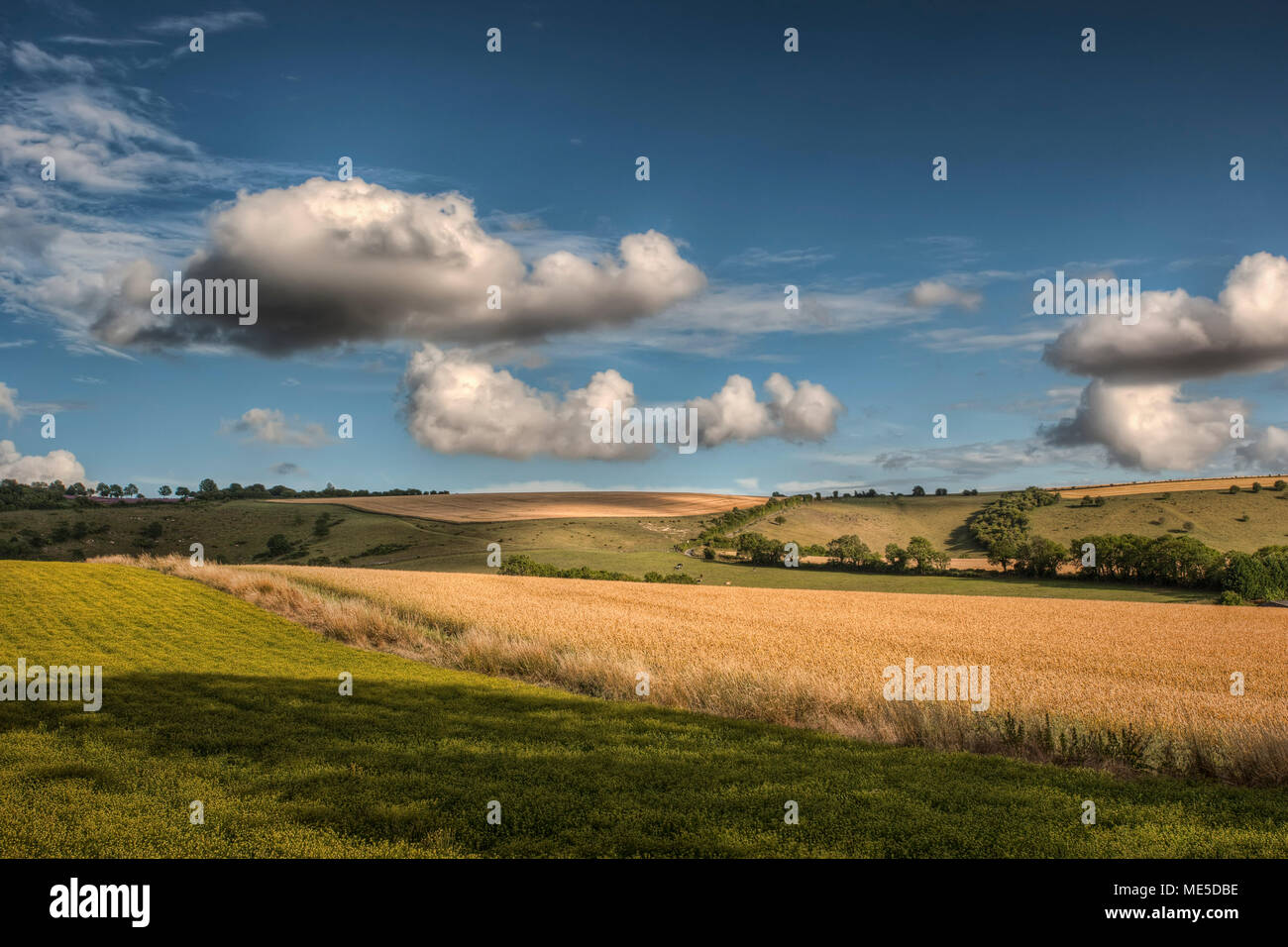 The Meon Valley, Hampshire, UK Stock Photo - Alamy