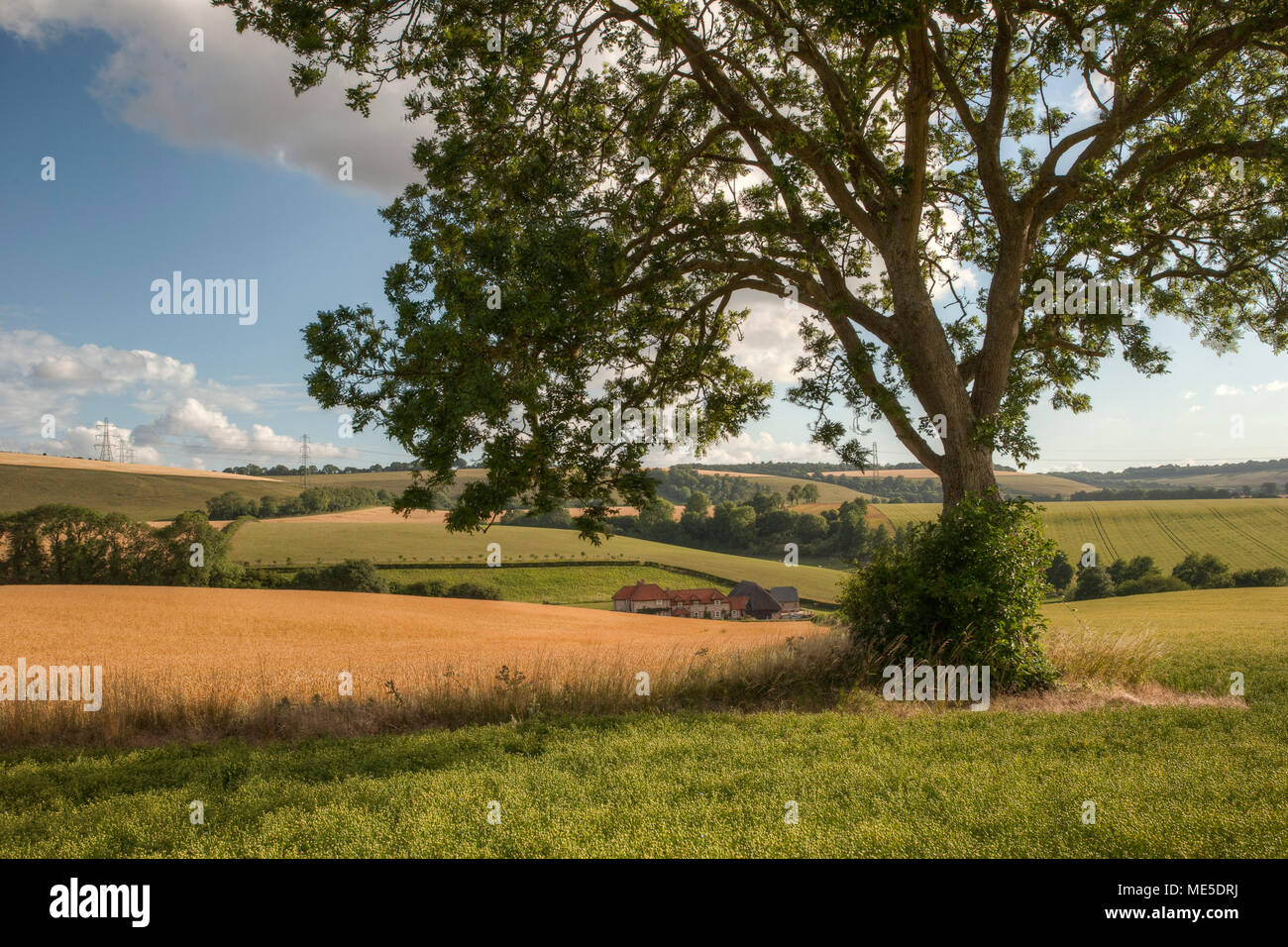 River Meon Valley High Resolution Stock Photography and Images - Alamy
