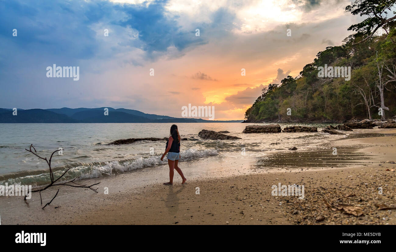 Indian chidiya hi-res stock photography and images - Alamy