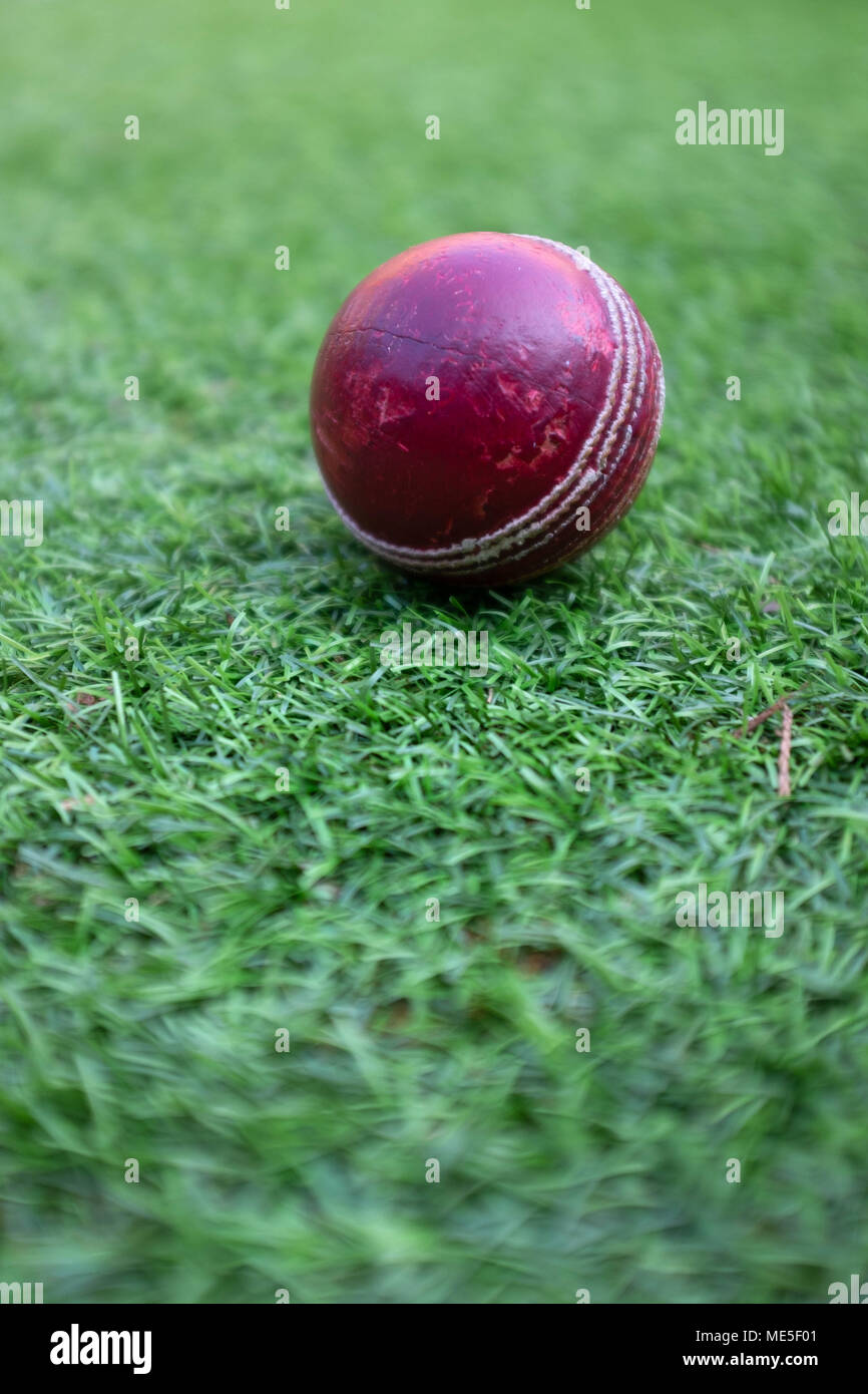 Cricket ball on grass Stock Photo - Alamy