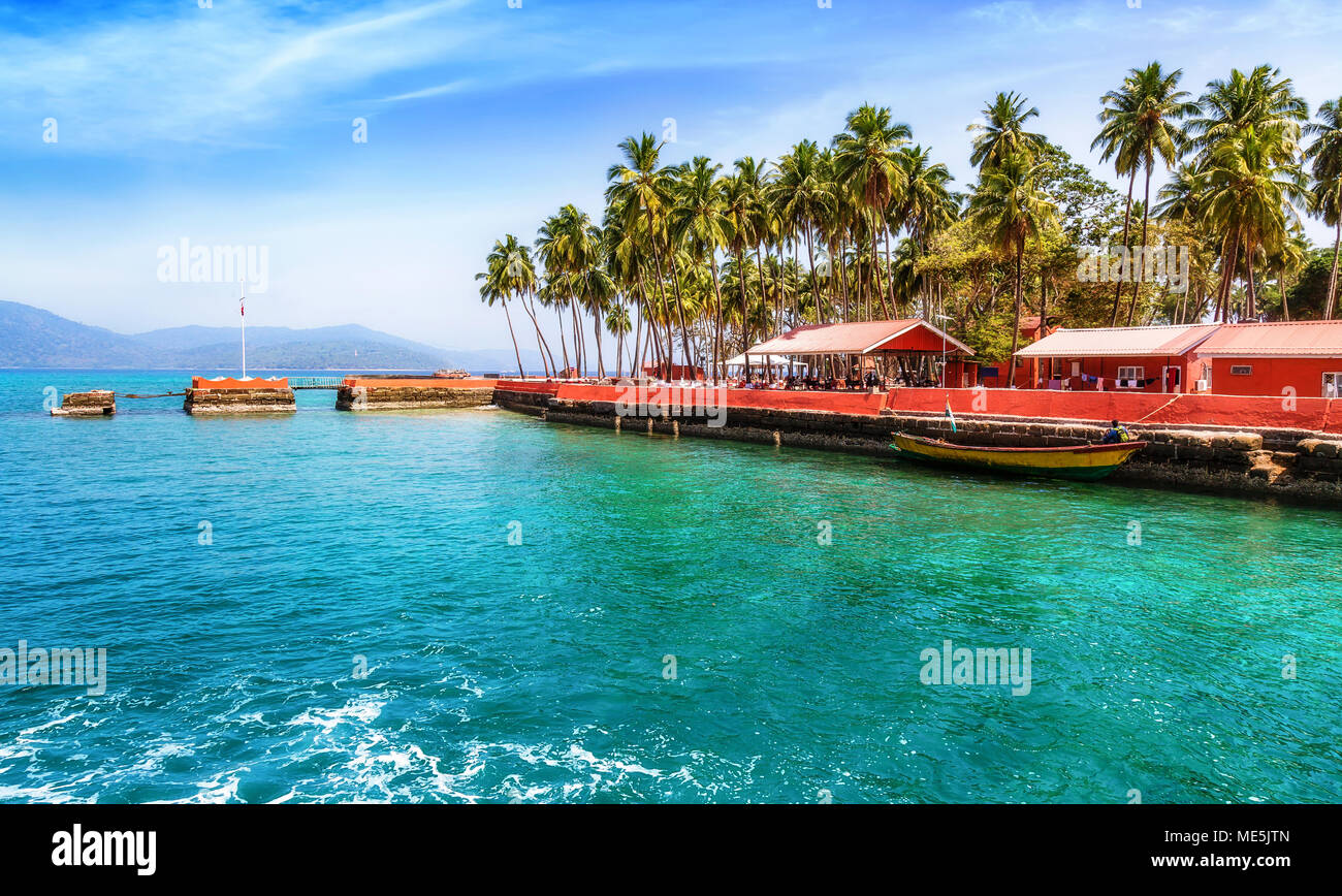 Coconut trees andaman nicobar islands hi-res stock photography and ...