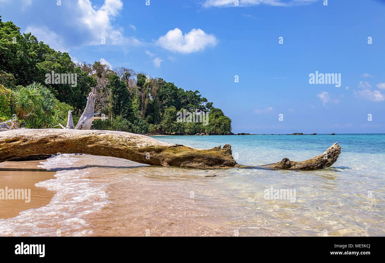 Scenic Jolly Buoy island sea beach at Andaman India Stock Photo - Alamy