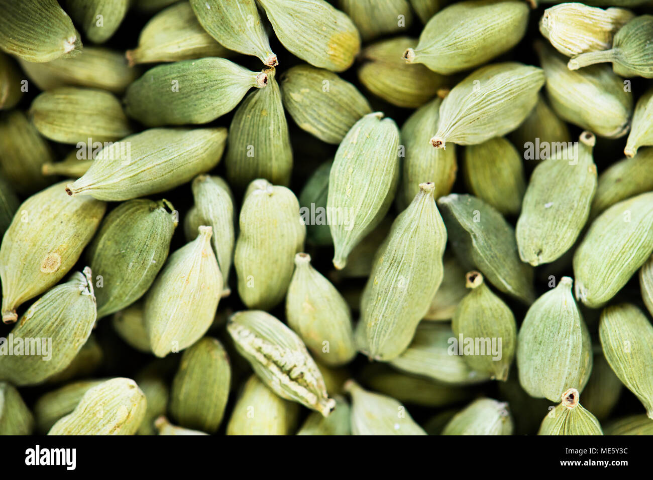 Close up of pumpkin seeds Stock Photo - Alamy