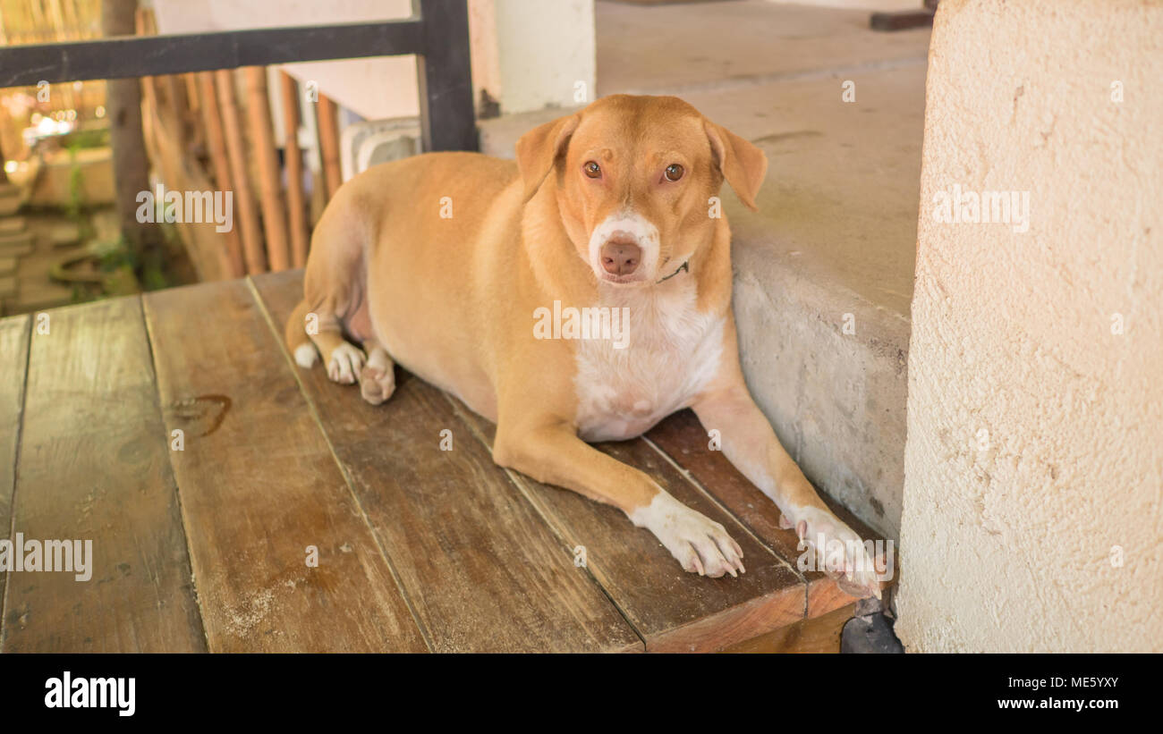 Beautiful threshold hi-res stock photography and images - Alamy