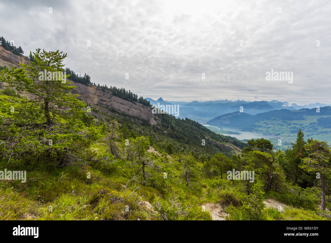 view from natural landslide area near Goldau on Lake Lauerz and Swiss ...