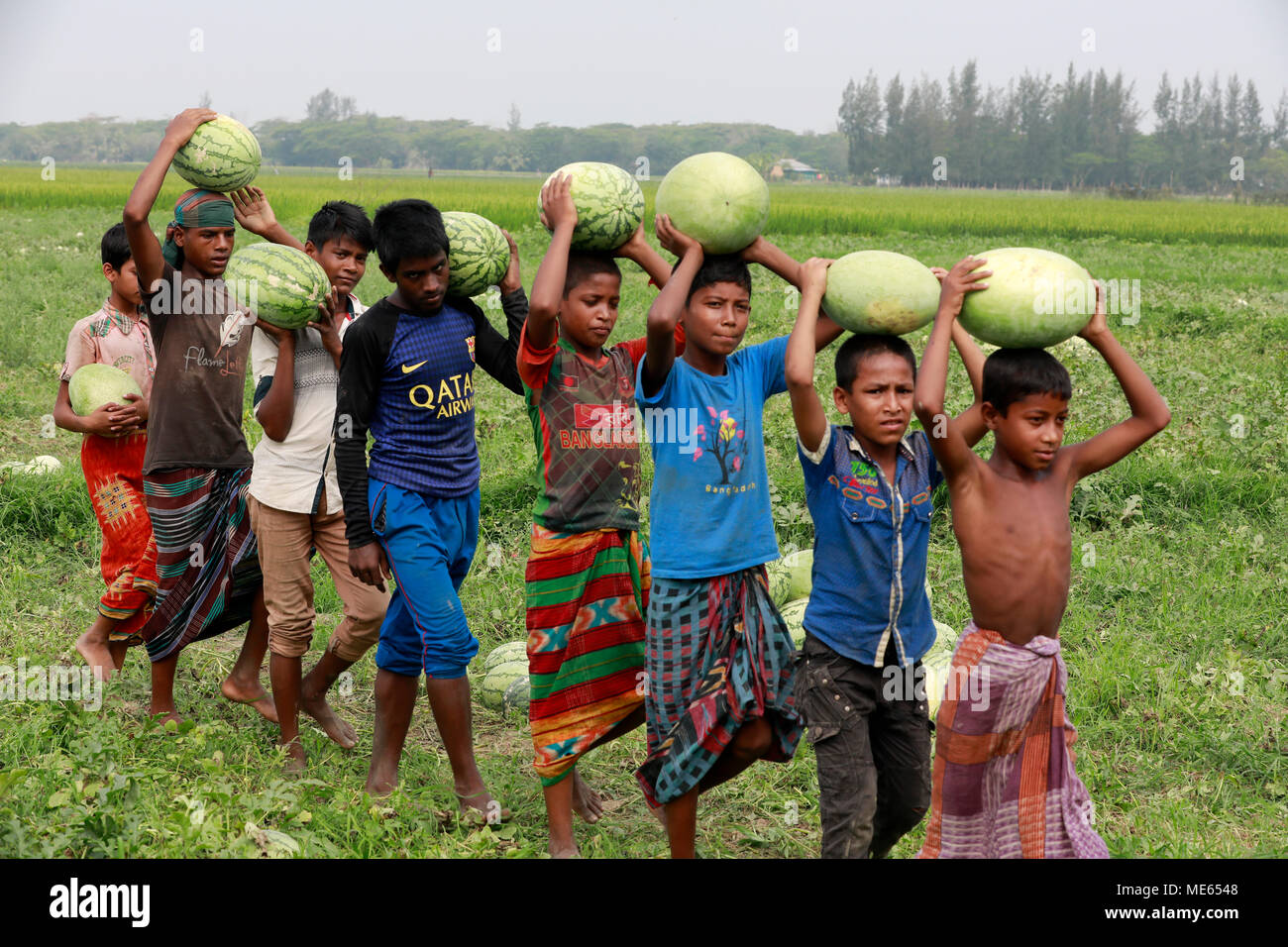 Watermelon carry hi-res stock photography and images - Alamy