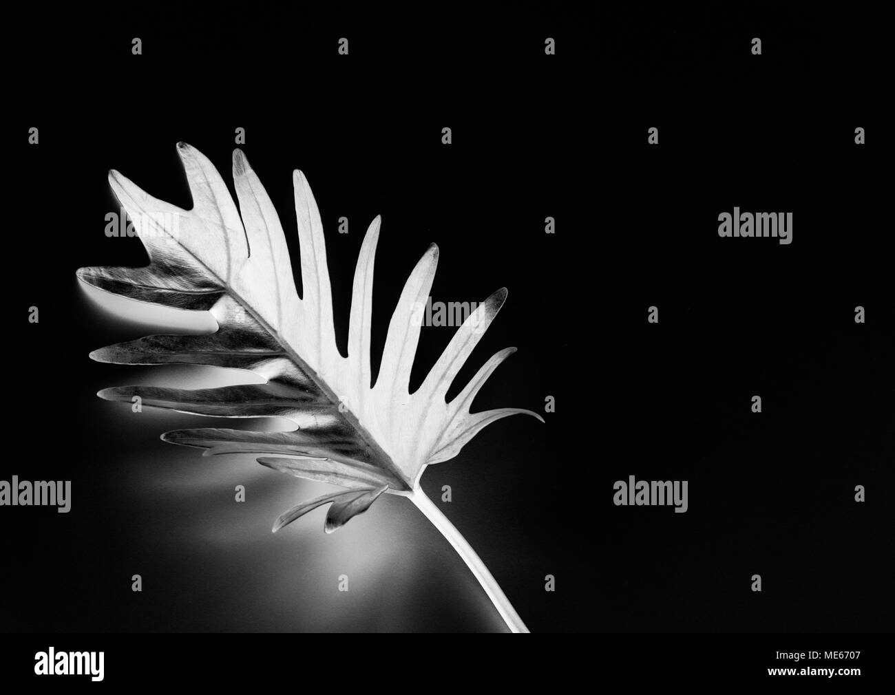 Negative effect hi-res stock photography and images - Alamy