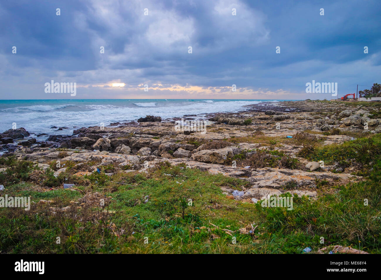 in to the wild Stock Photo - Alamy