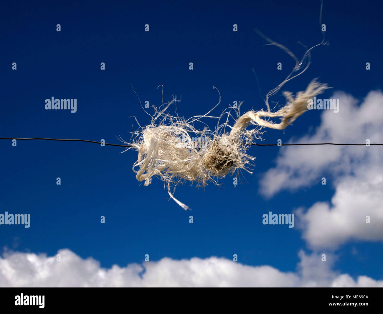 Hung by wire hi-res stock photography and images - Alamy