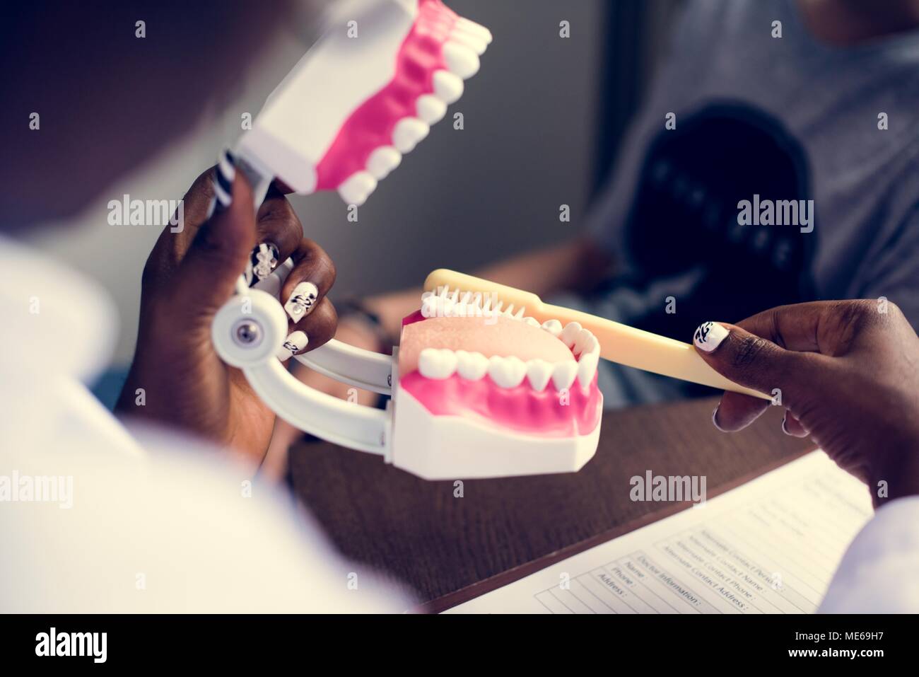 Dental jaw model Stock Photo - Alamy