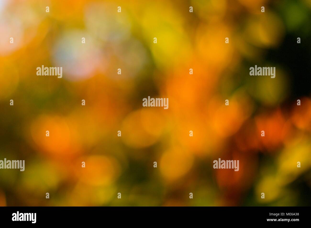 Out of focus wallpaper hi-res stock photography and images - Alamy