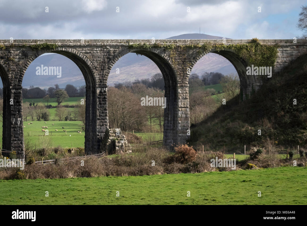 Borris carlow hi-res stock photography and images - Alamy