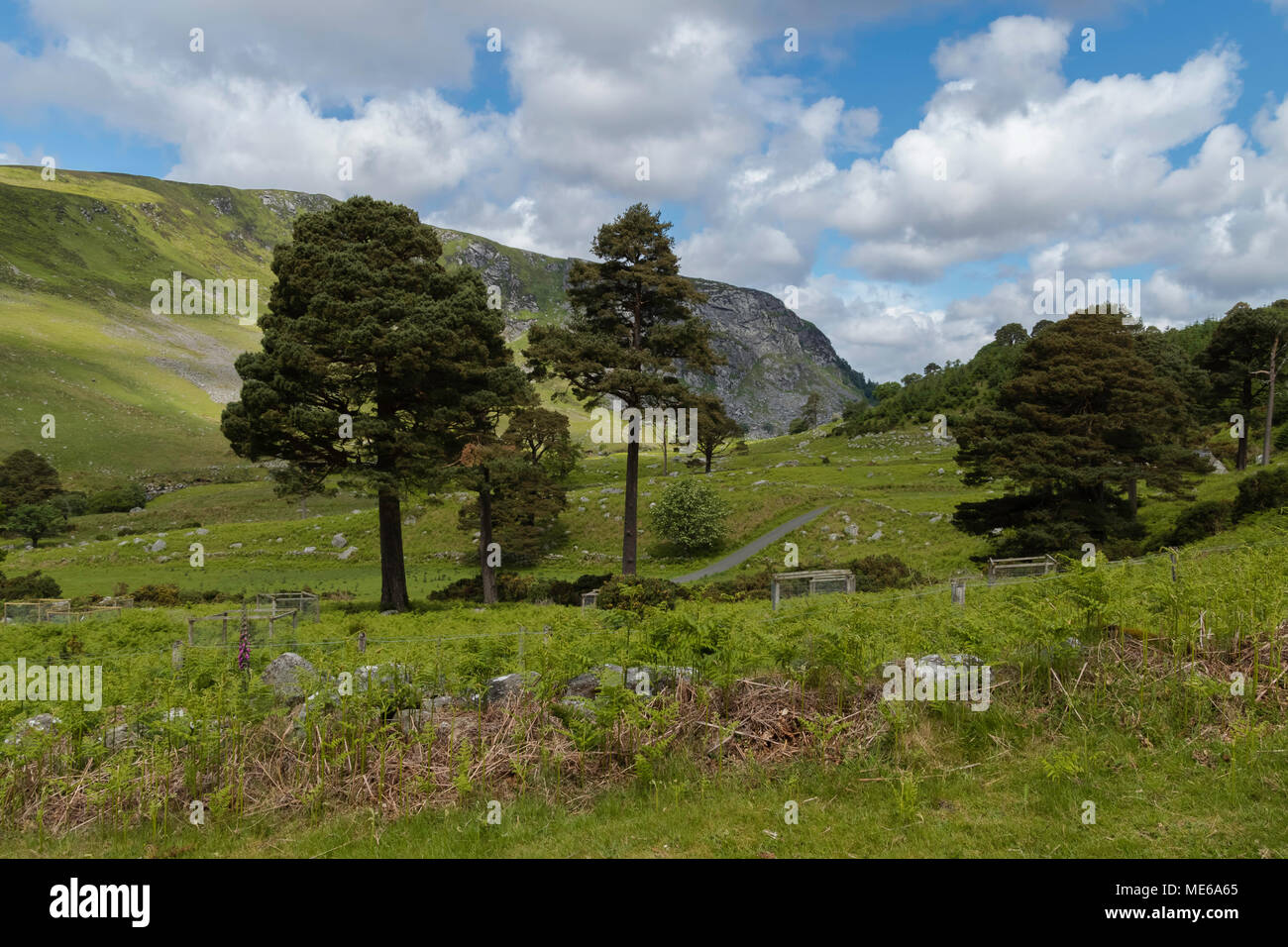 Wicklow attractions hi-res stock photography and images - Alamy