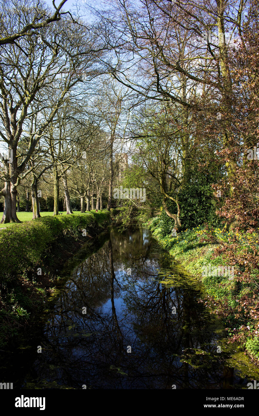 Tree lined stream running through park with reflections in water Stock ...
