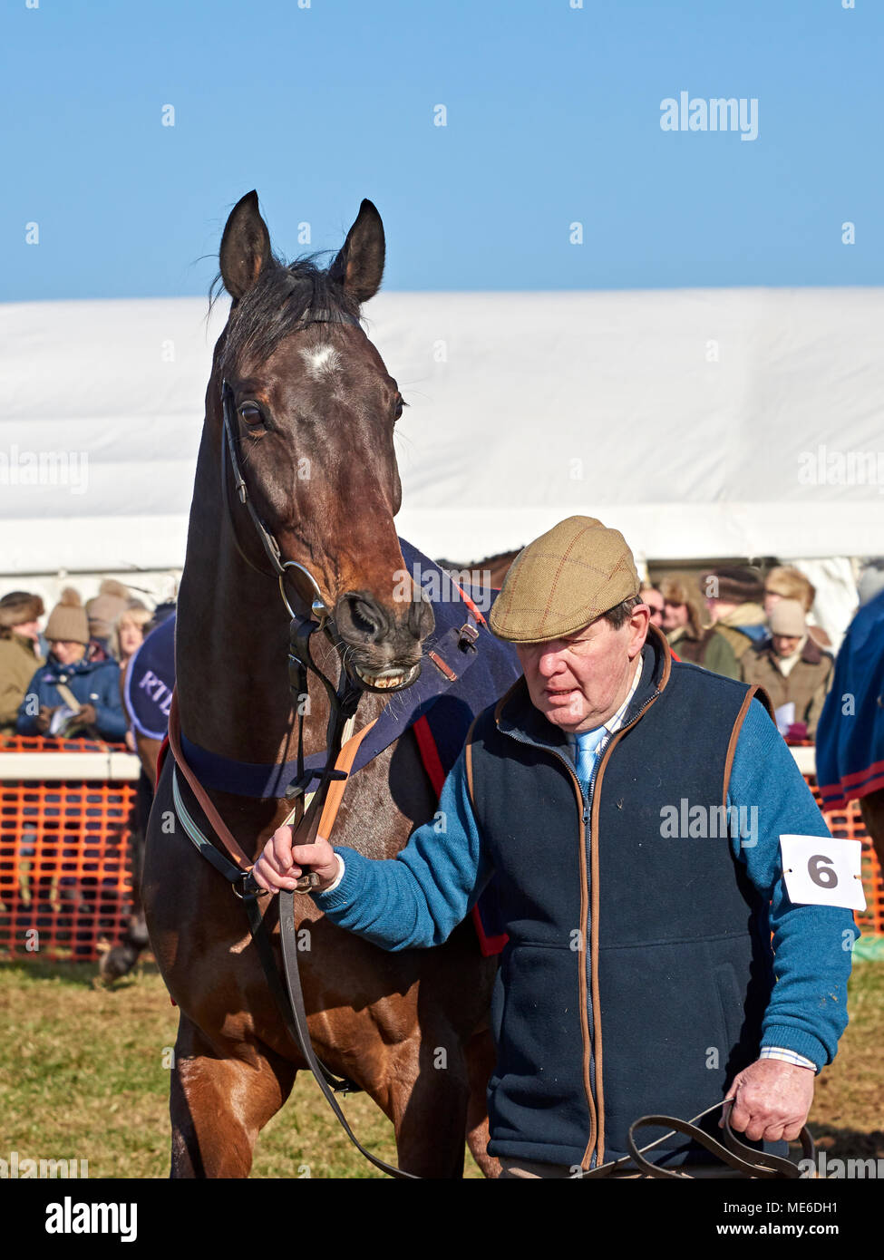Handler and horse hi-res stock photography and images - Alamy