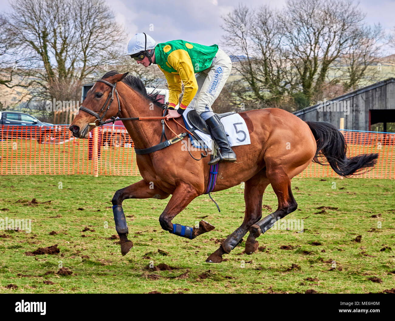 Horse and rider at full gallop during a point-to-point event Stock ...