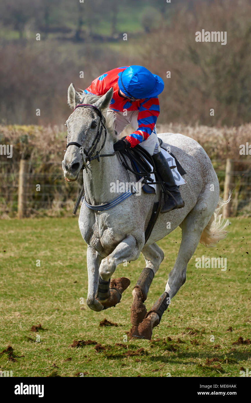 Full Gallop Stock Photos & Full Gallop Stock Images - Alamy