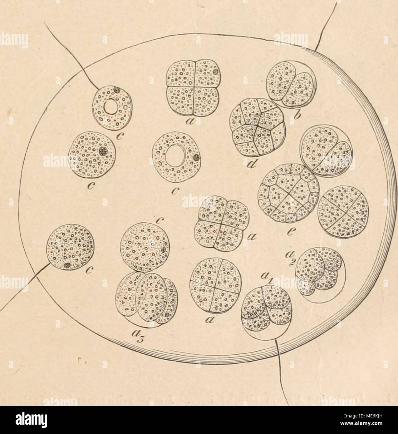 Ehrb hi-res stock photography and images - Alamy