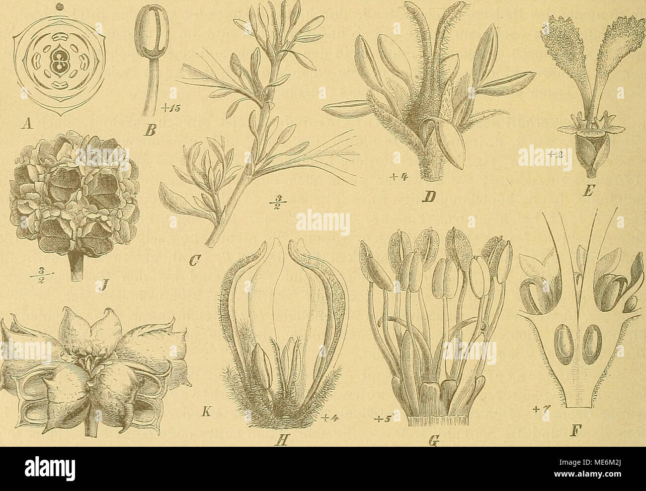 Aus dem diagramm hi-res stock photography and images - Alamy