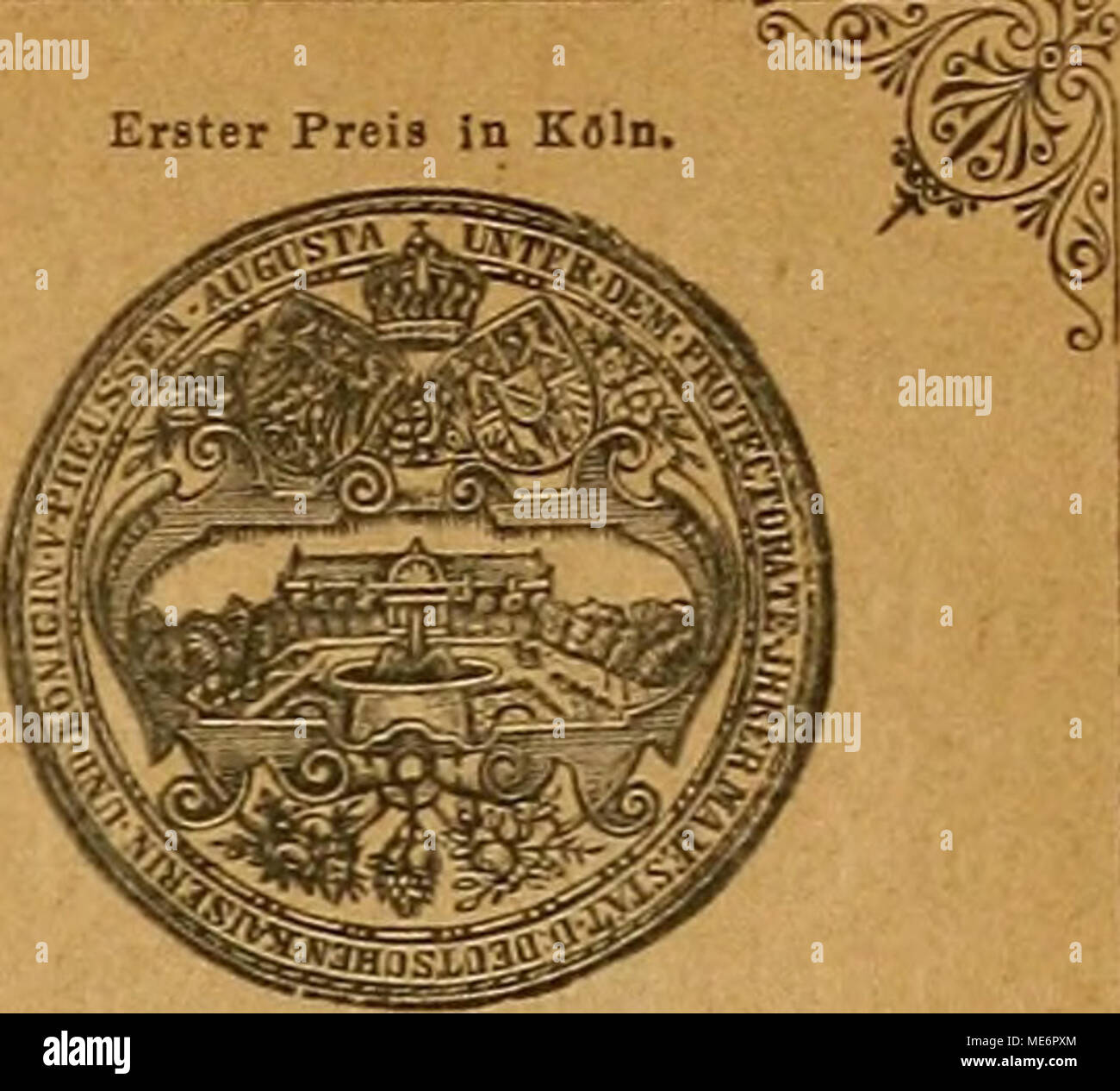 Penaeaceae hi-res stock photography and images - Alamy