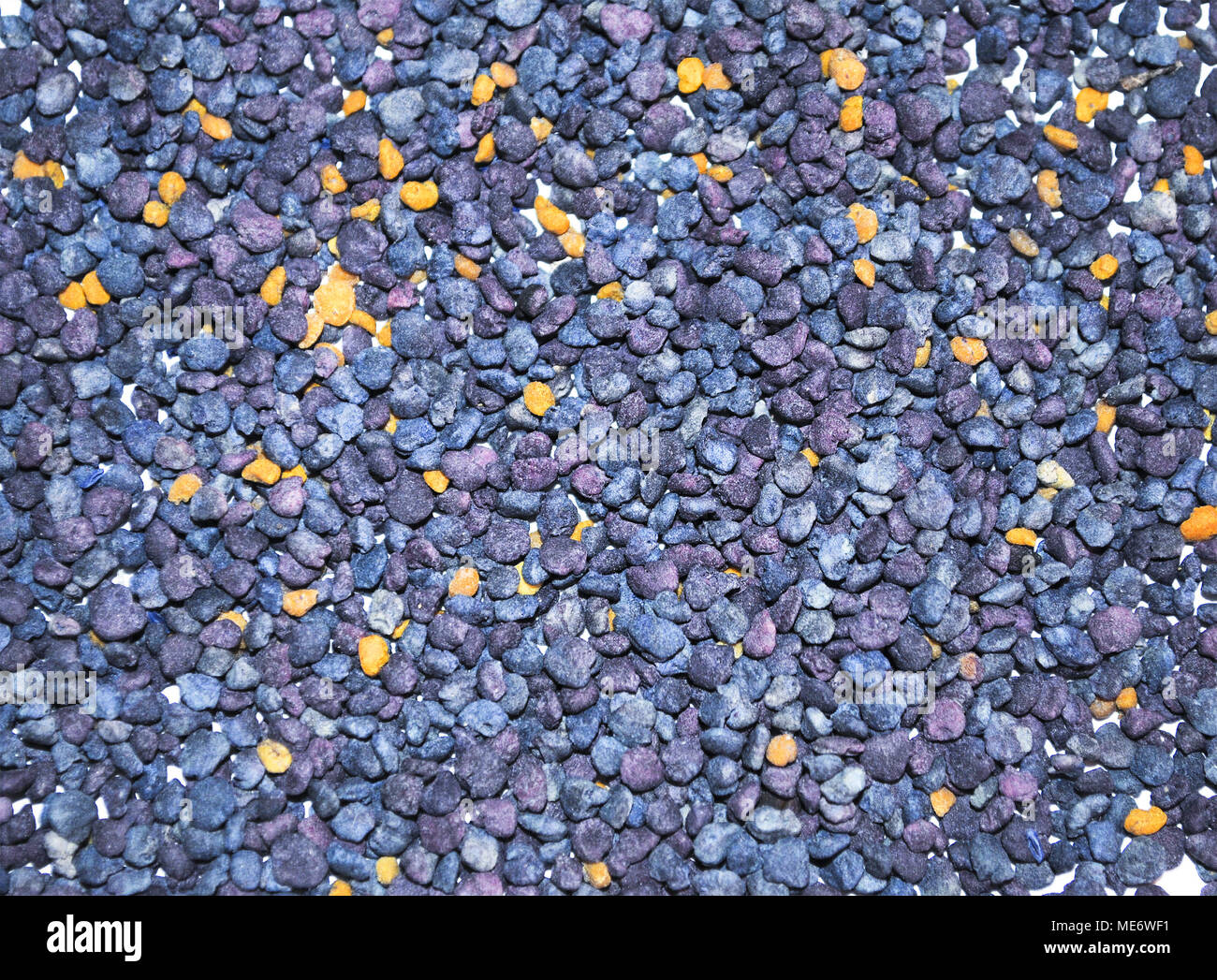 Commercial Pollination High Resolution Stock Photography and Images - Alamy