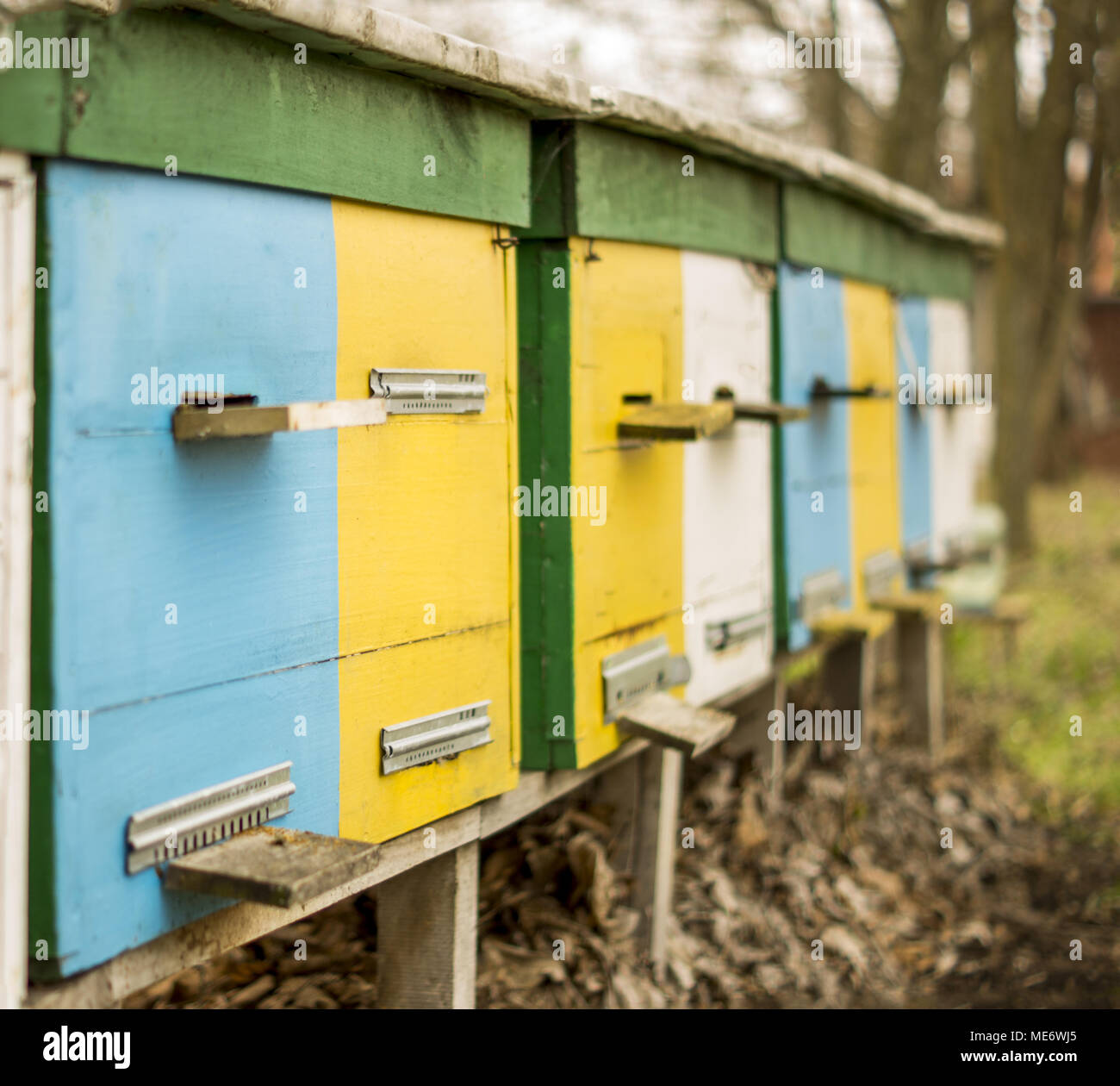 apiary. For your commercial and editorial use Stock Photo - Alamy