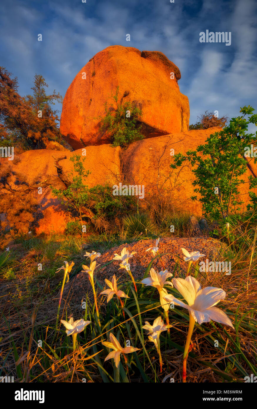 Enchanted rock state park hi-res stock photography and images - Alamy
