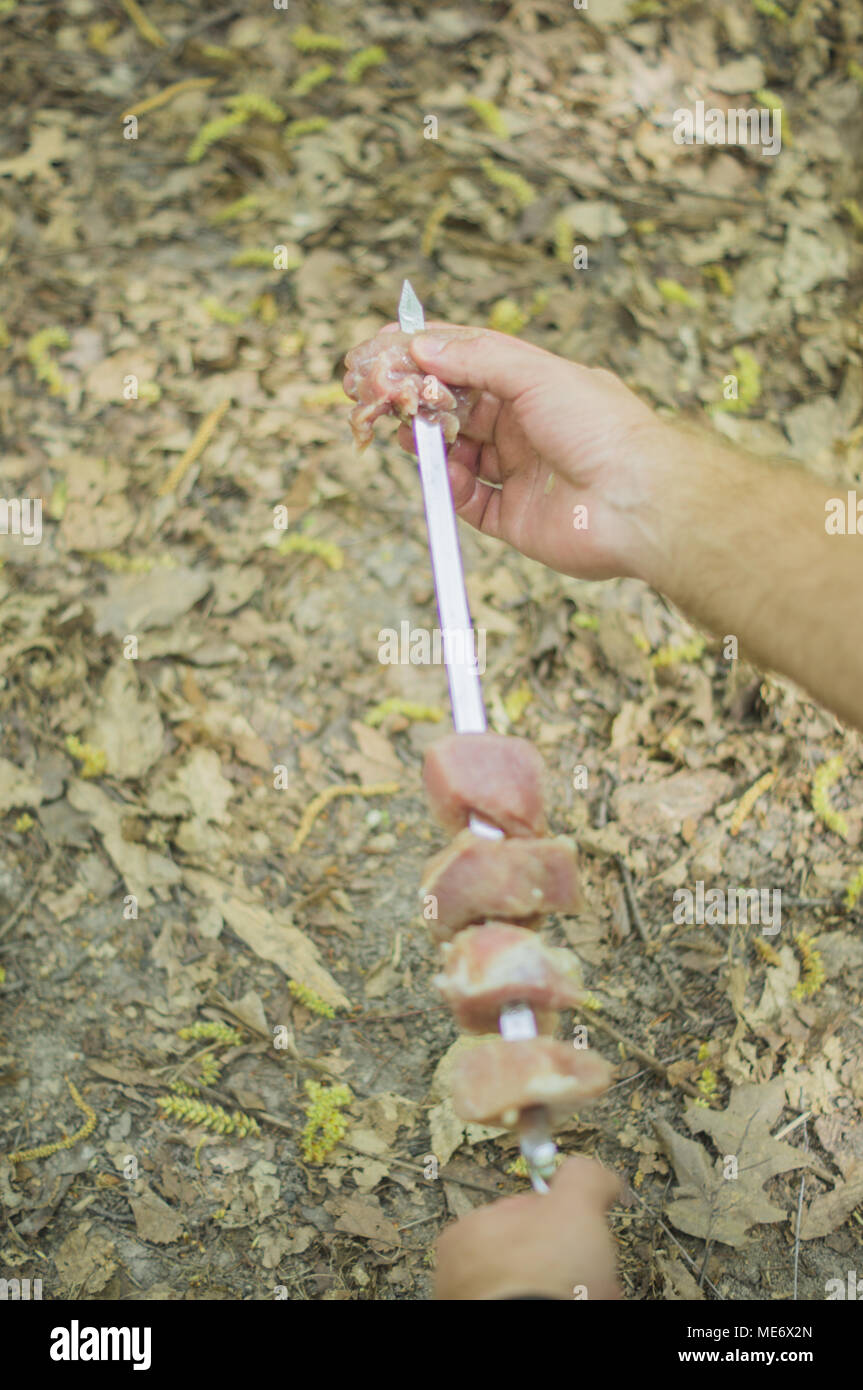 Pieces of raw meat on a skewer. For your commercial and editorial use ...