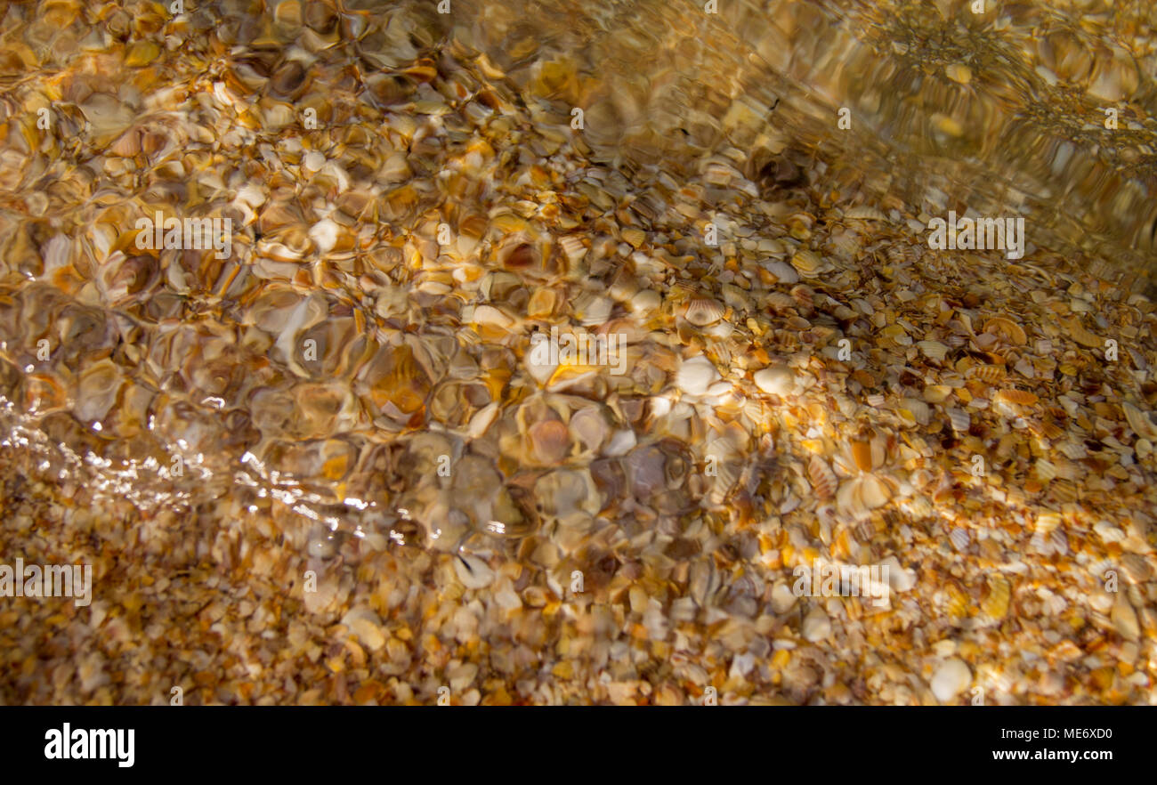 Pebbles, corals and sand under water. For your commercial and editorial ...