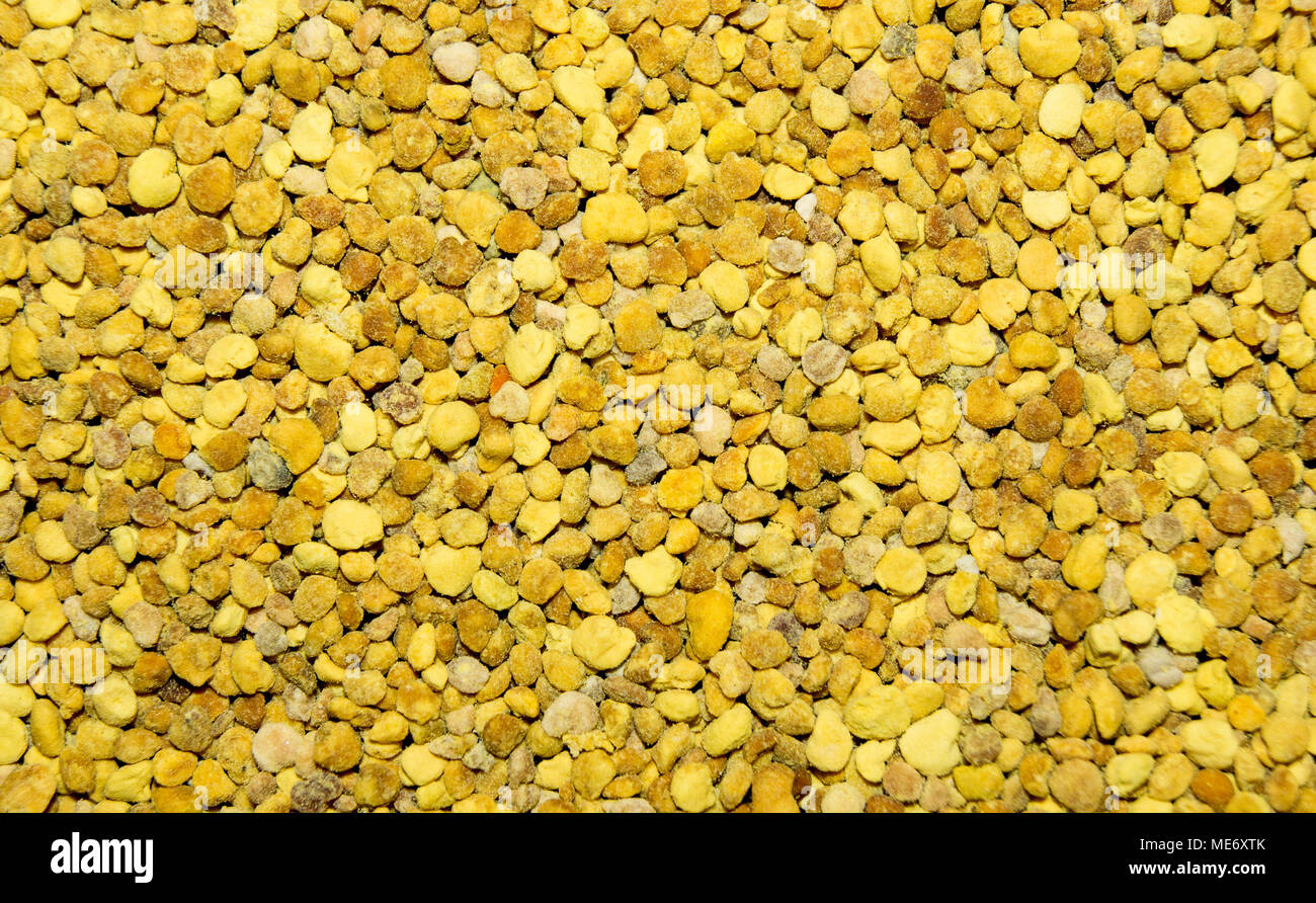 Bee Pollen texture. For your commercial and editorial use Stock Photo ...