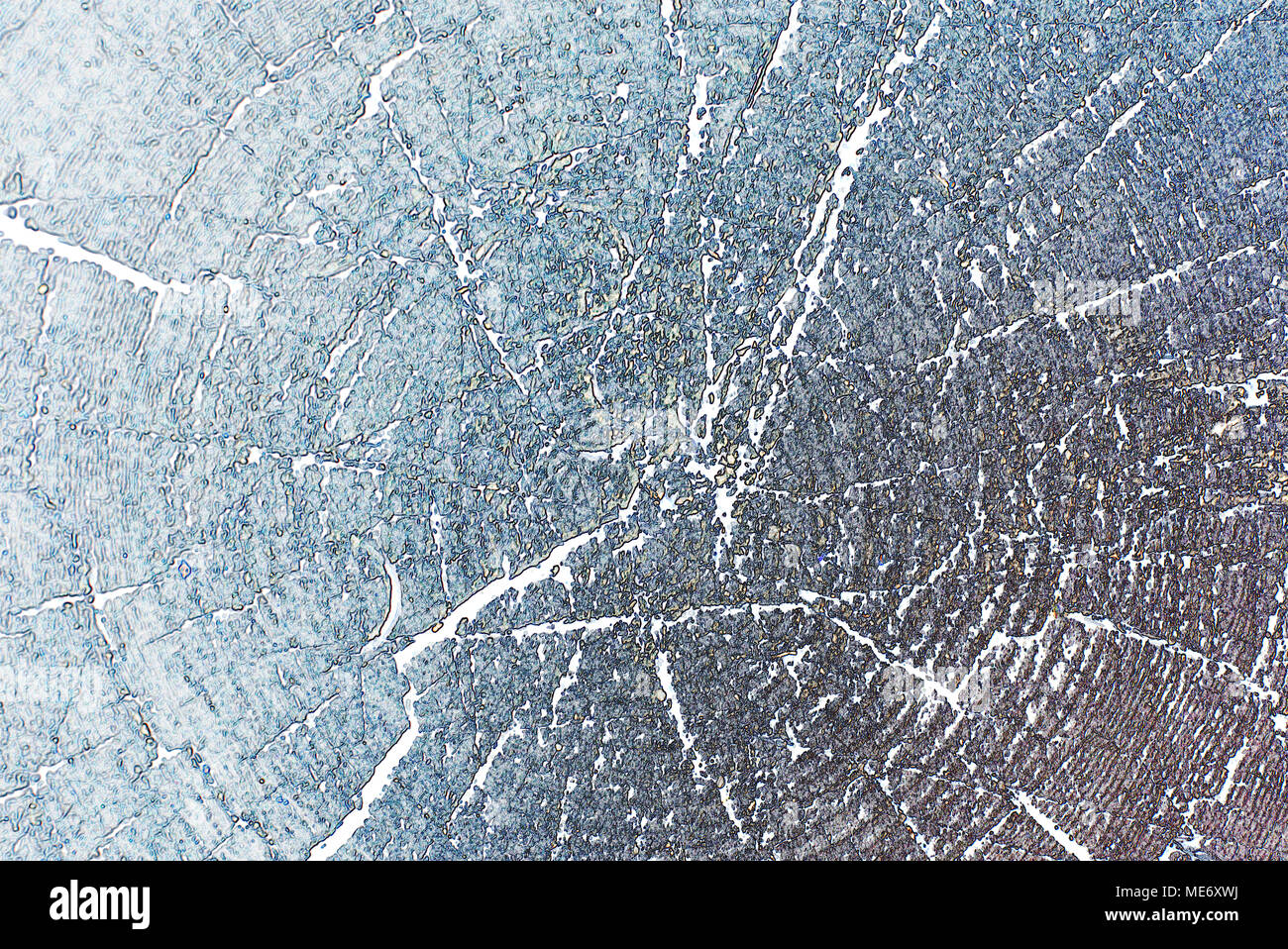 close-up wooden cut texture. For your commercial and editorial use ...