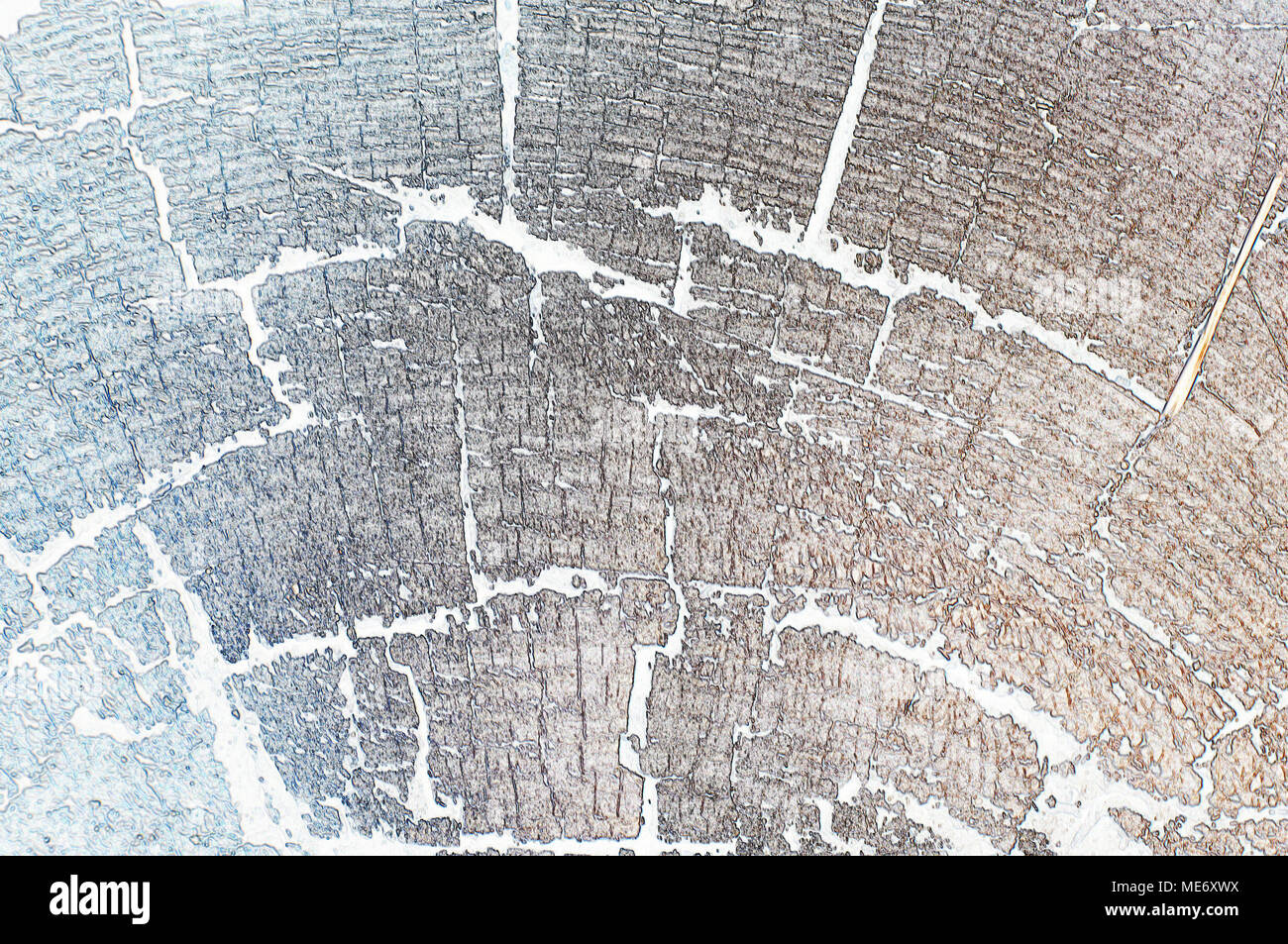 close-up wooden cut texture. For your commercial and editorial use ...