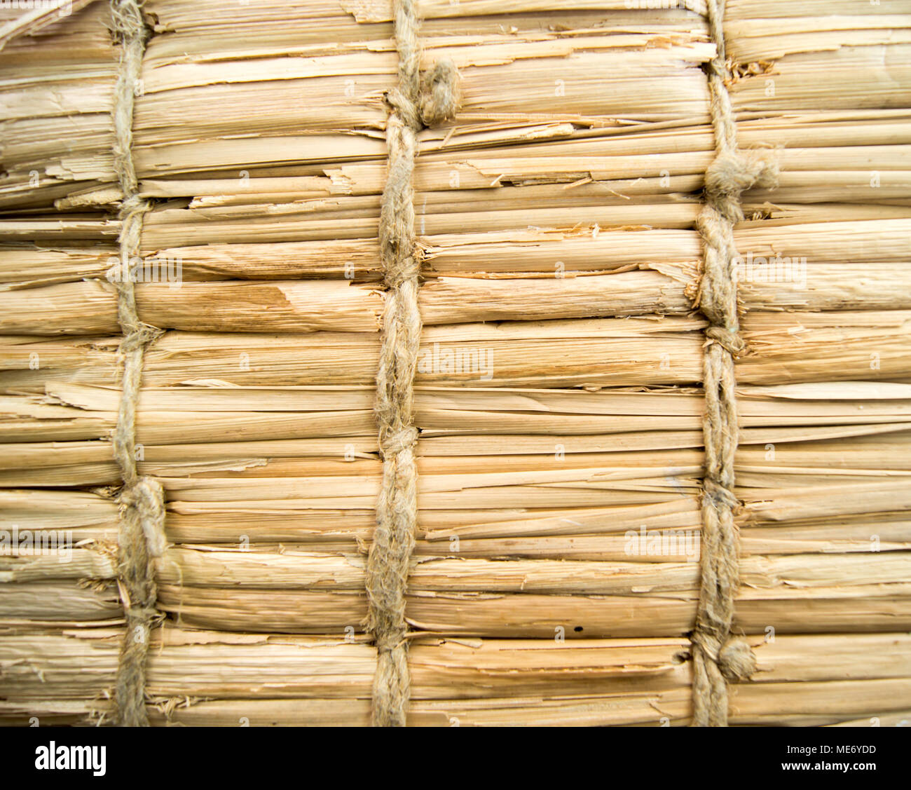 fence of dry cane. For your commercial and editorial use Stock Photo ...